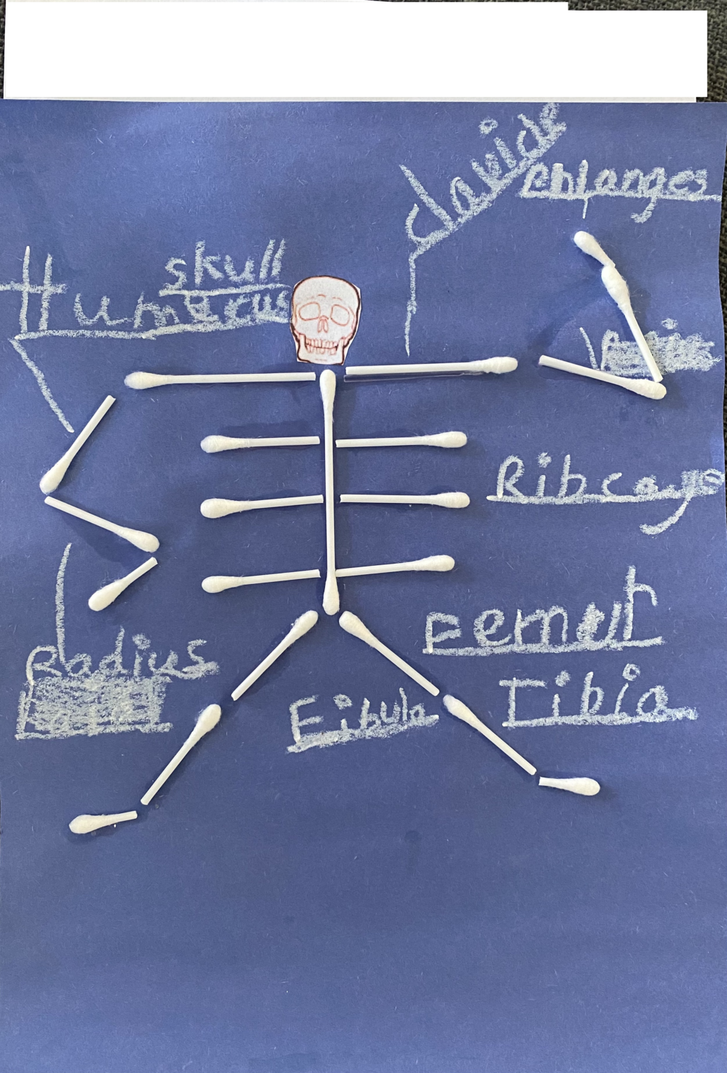Grade 2 Science - Resources for the Human Body Unit - Journey To My Roots