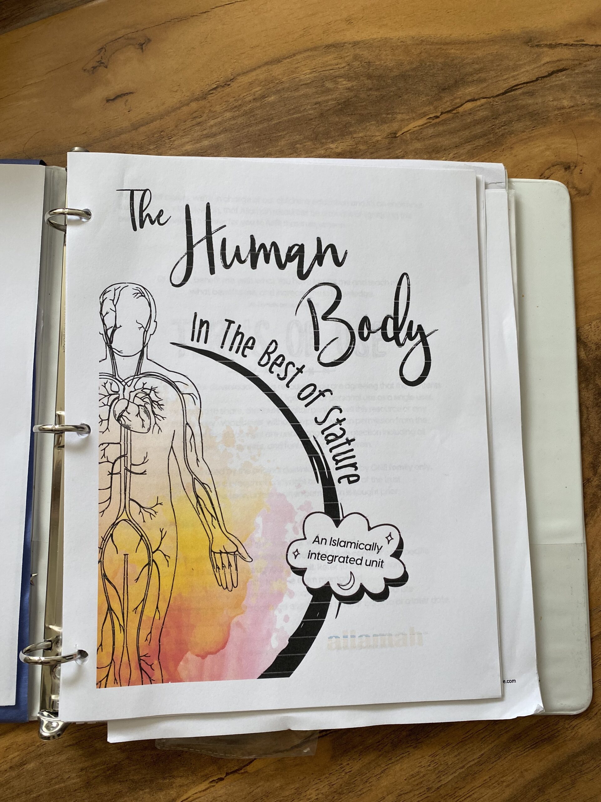 Grade 2 Science - Resources for the Human Body Unit - Journey To My Roots