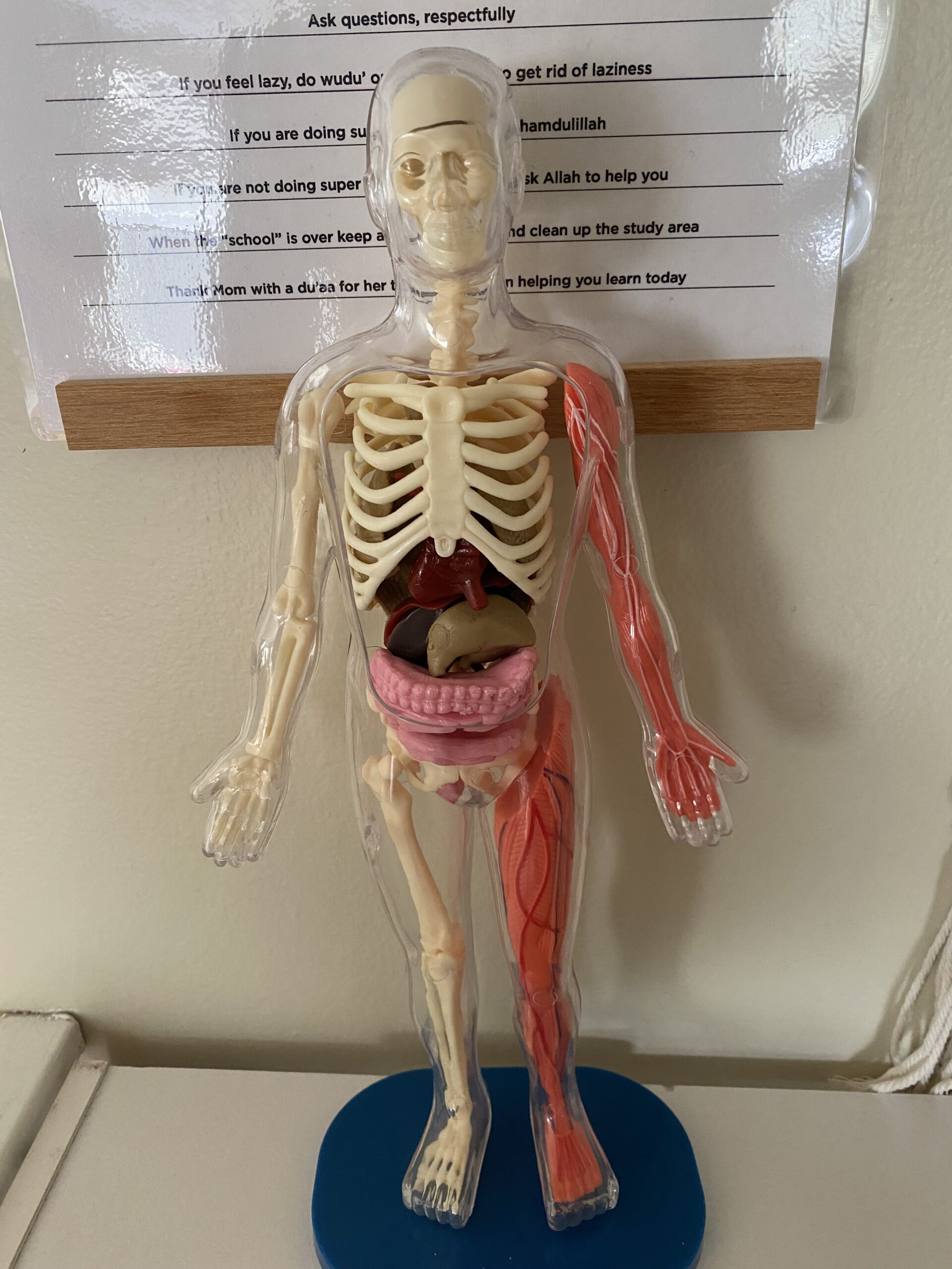 Grade 2 Science - Resources for the Human Body Unit - Journey To My Roots